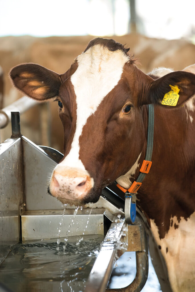 About Kanters - Your knowledge partner in water