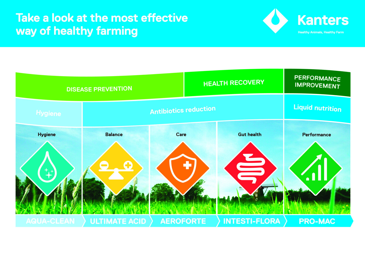 About Kanters - Your knowledge partner in water