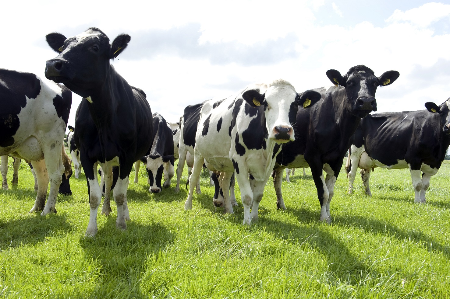 About Kanters - Your knowledge partner in water